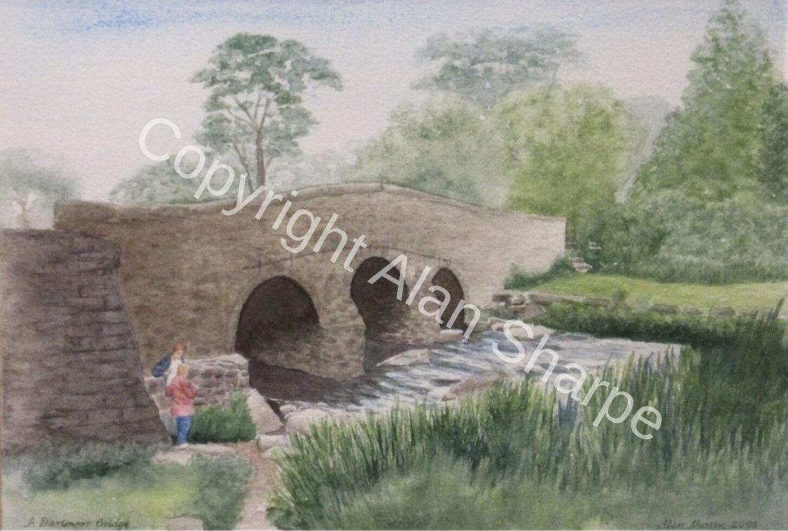 Copyright Alan Sharpe | Taunton Art Group